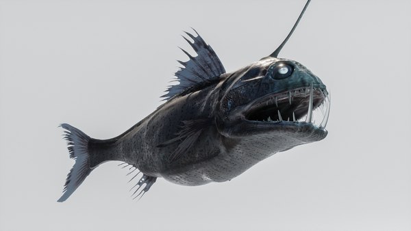 Angler Deep Sea Fish 3D 모델 - TurboSquid 1893166