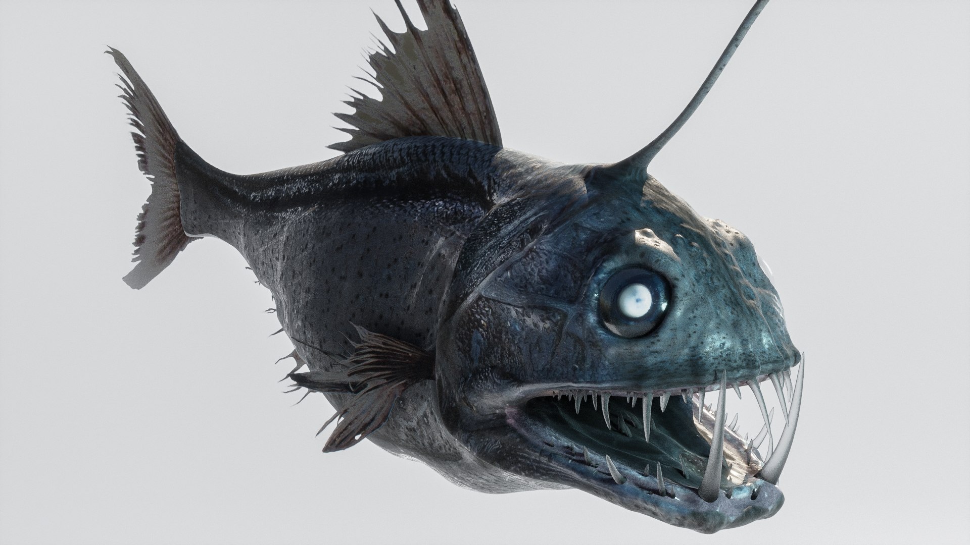 3D Angler Deep Sea Fish Model - TurboSquid 1893166