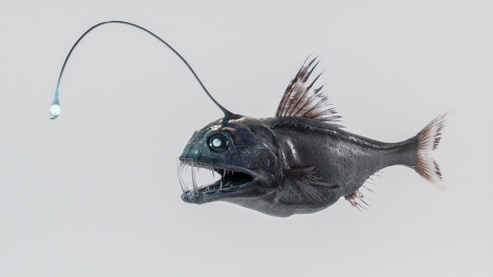 3D Angler Deep Sea Fish Model - TurboSquid 1893166