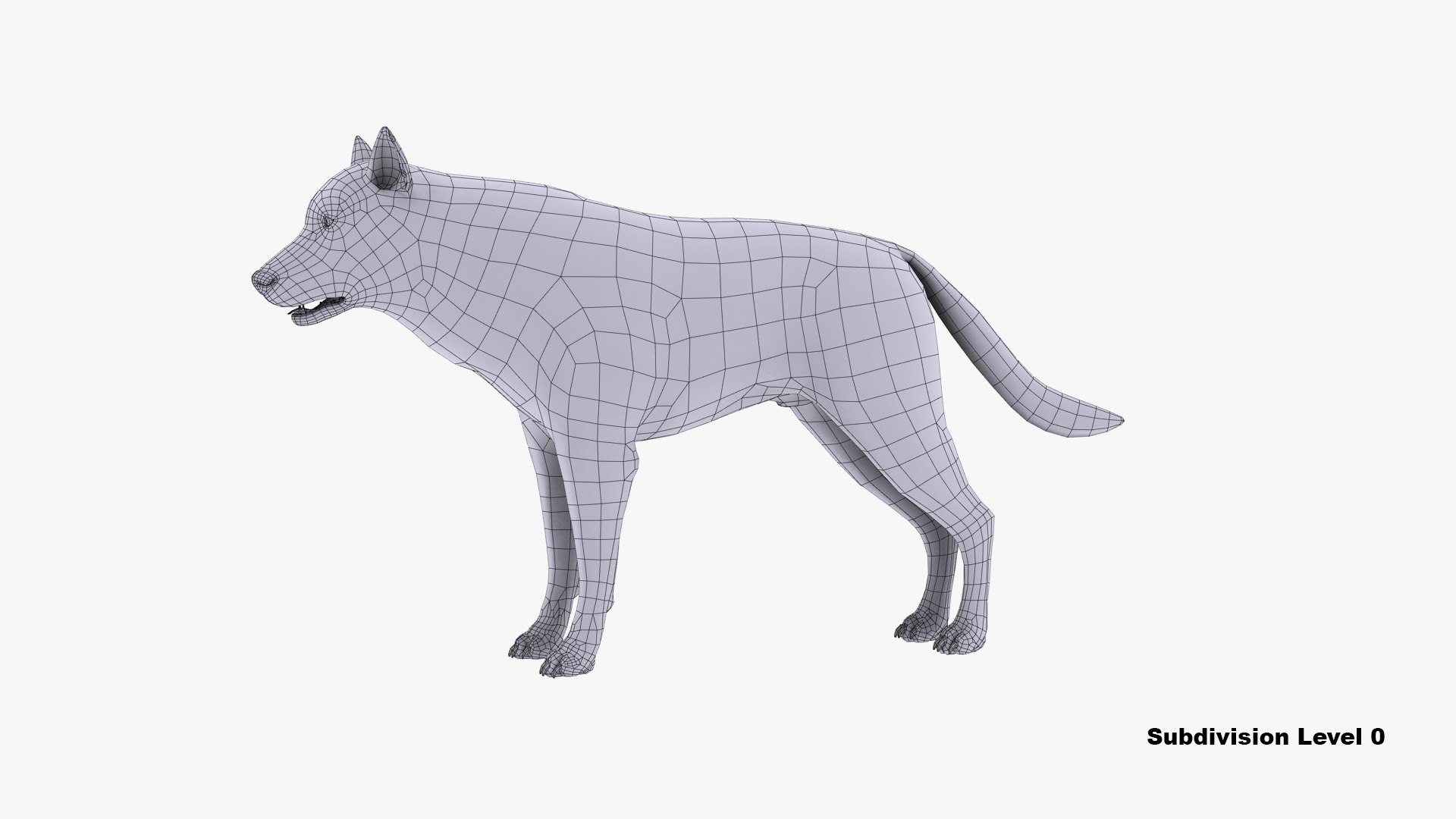 3d Model Of Wolf