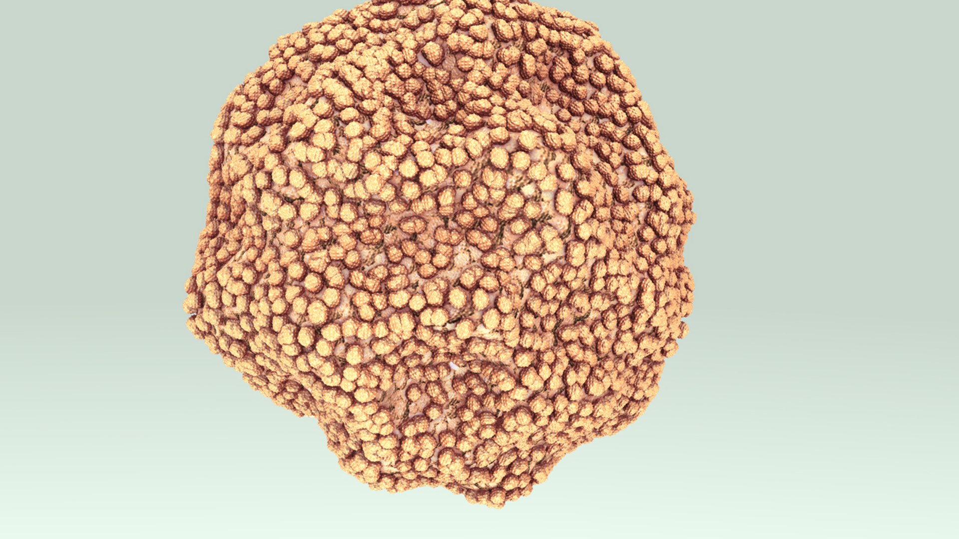 3d rheumatoid arthritis anatomy