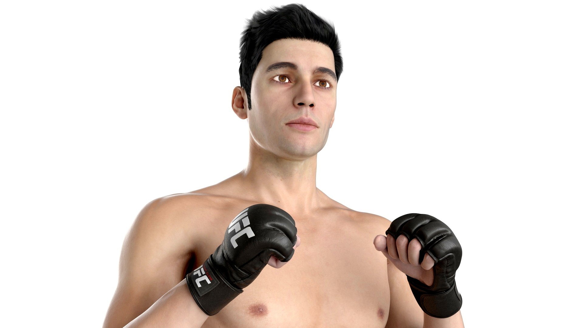 Fighter UFC MMA In Fighting Stance Fur 3D Model - TurboSquid 2334156