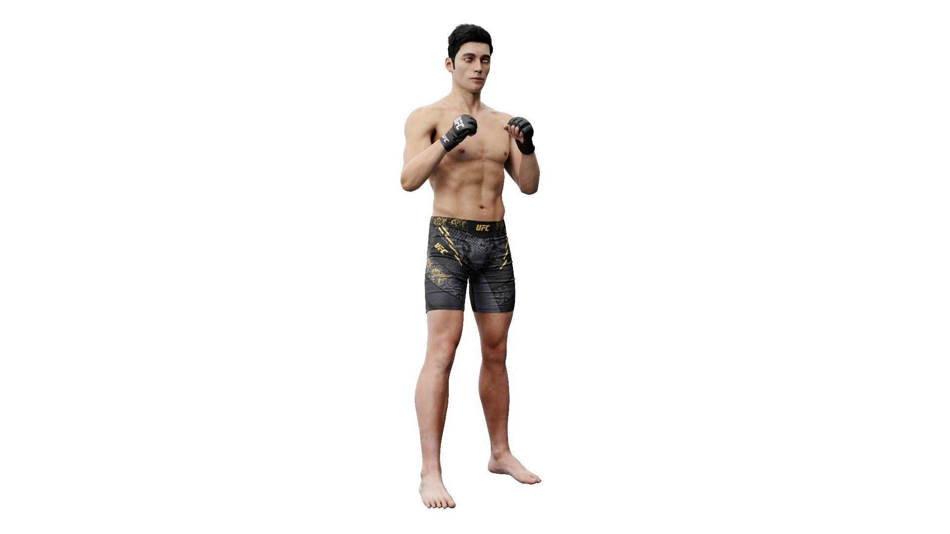 Fighter UFC MMA In Fighting Stance Fur 3D Model - TurboSquid 2334156