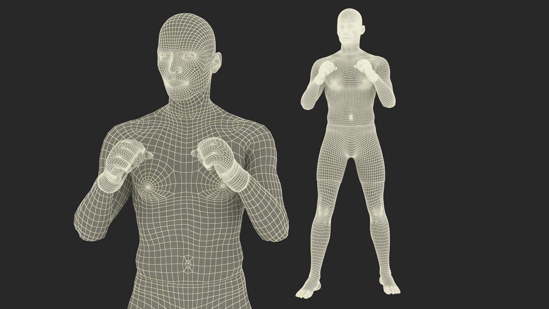 Fighter UFC MMA In Fighting Stance Fur 3D Model - TurboSquid 2334156