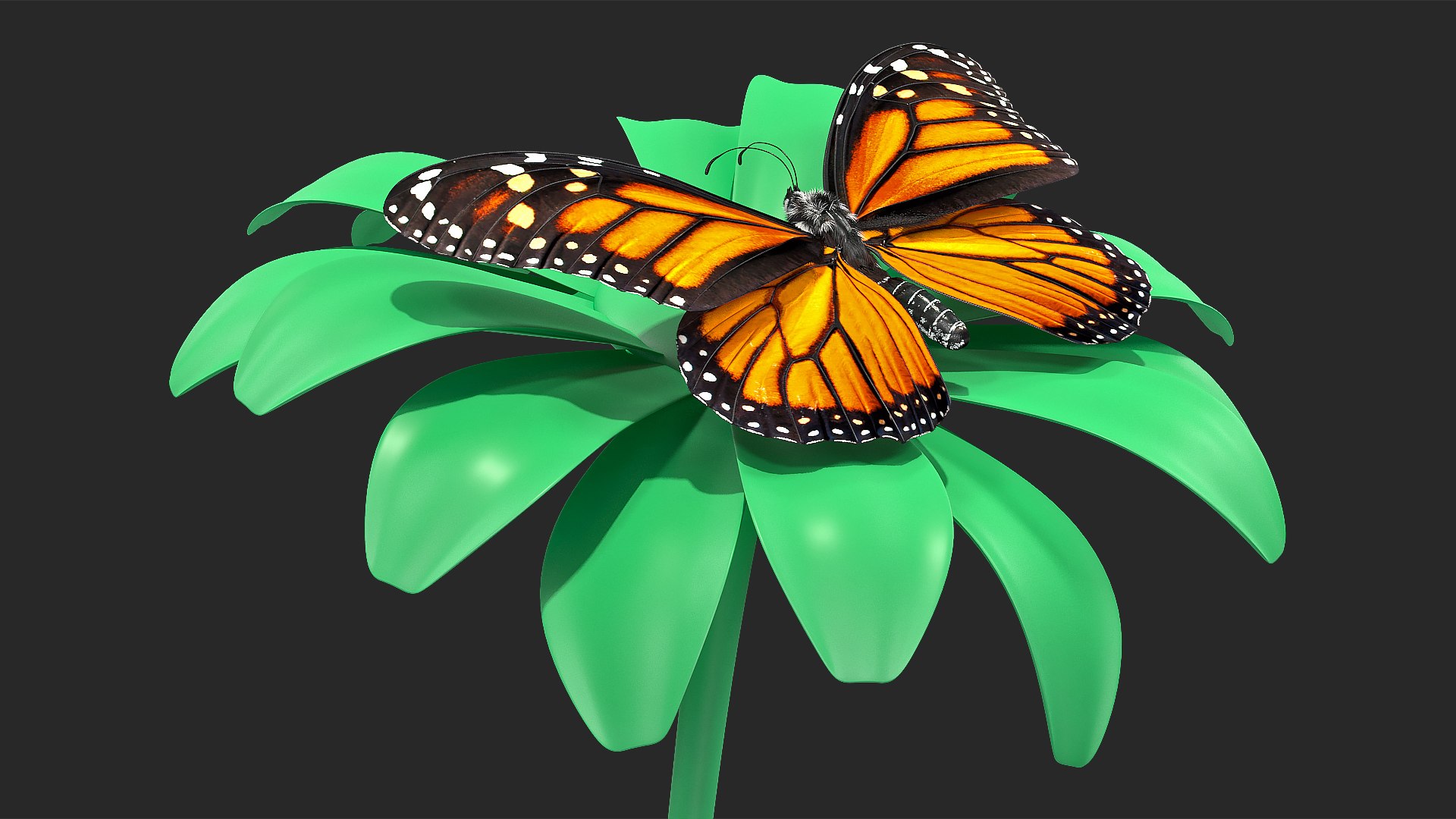 Monarch Butterfly Takes Flower 3D Model - TurboSquid 1482267