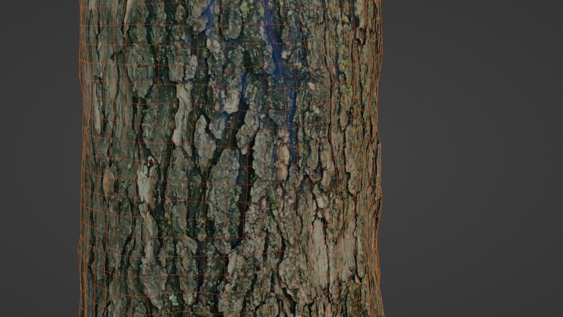 Tree Trunk 3D - TurboSquid 2330435