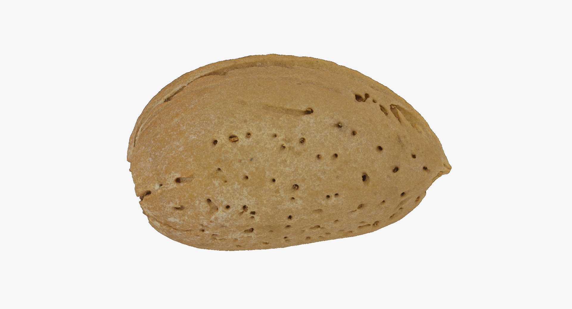 Almond Shell 03 Raw 3D Model - TurboSquid 1530385