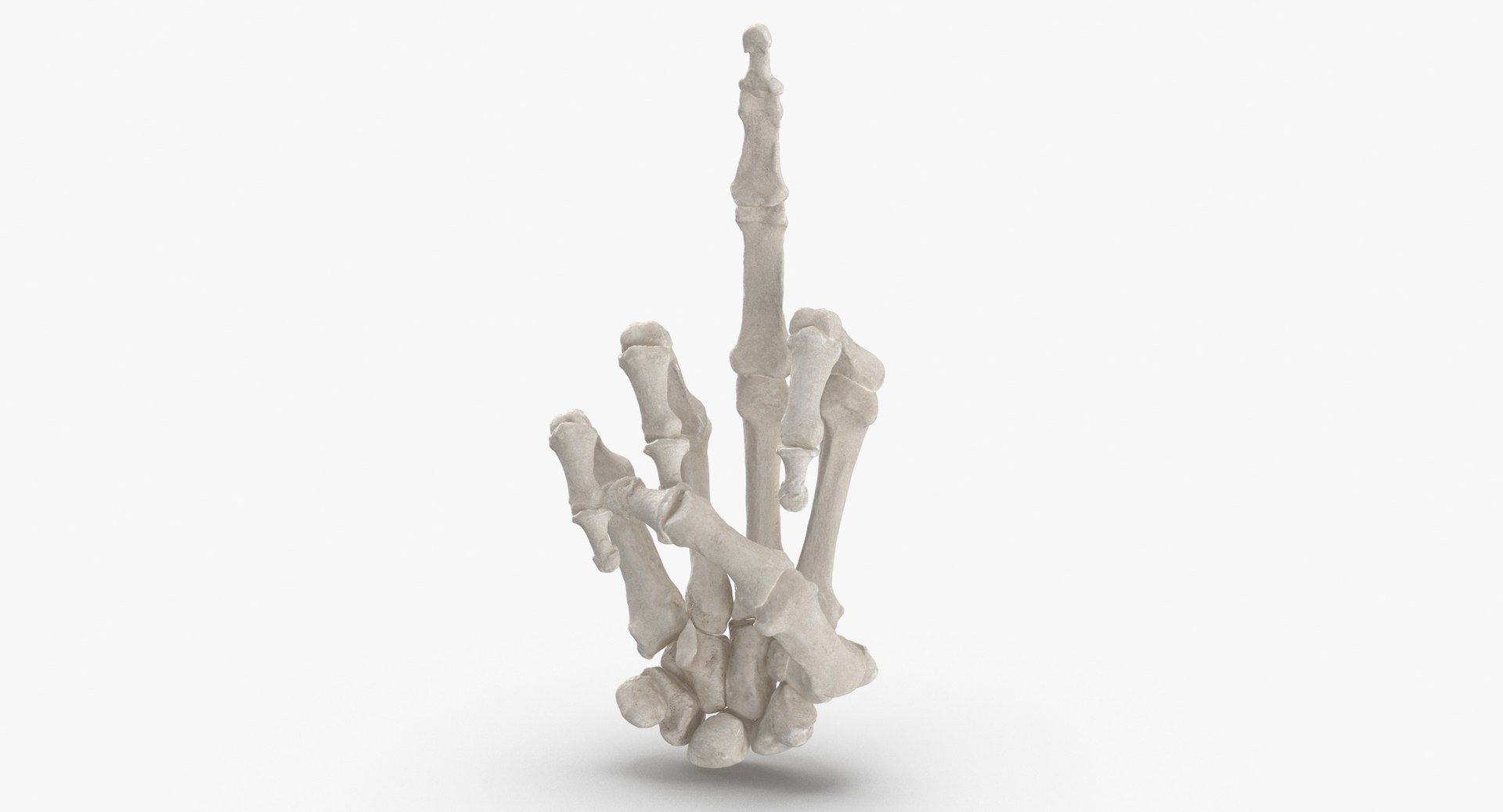 Human Hand Bones Middle Finger Sign White and Yellow Collection 01 - 2 ...