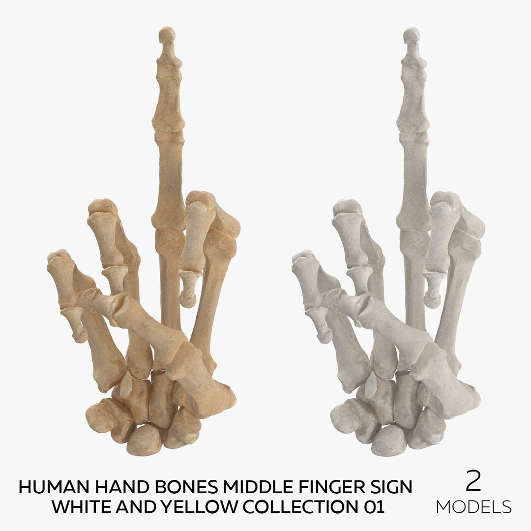 Human Hand Bones Middle Finger Sign White and Yellow Collection 01 - 2 ...