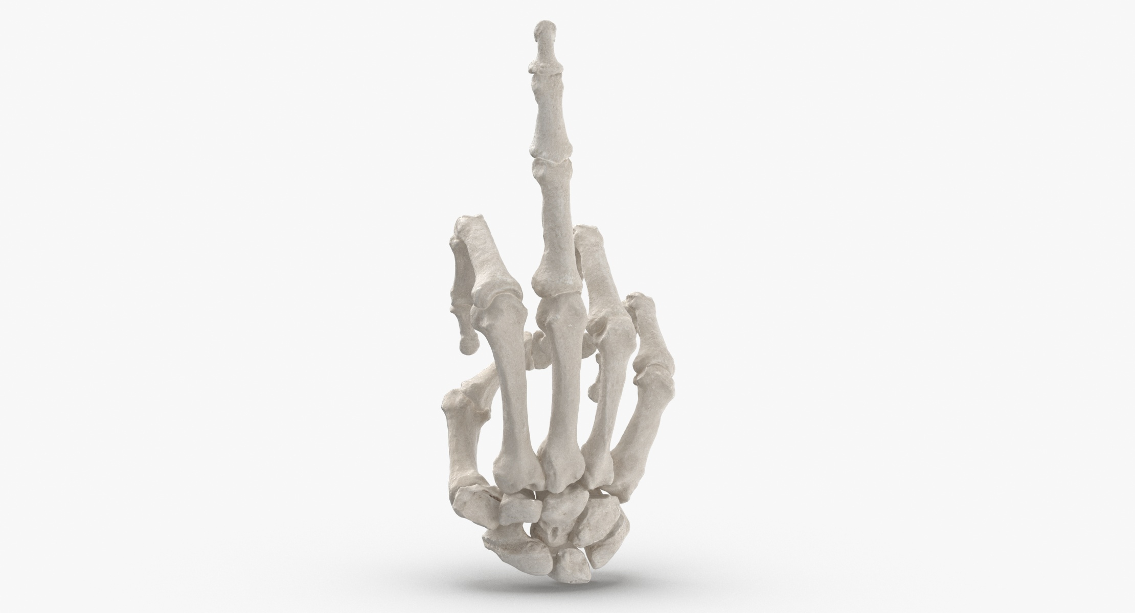 Human Hand Bones Middle Finger Sign White and Yellow Collection 01 - 2 ...