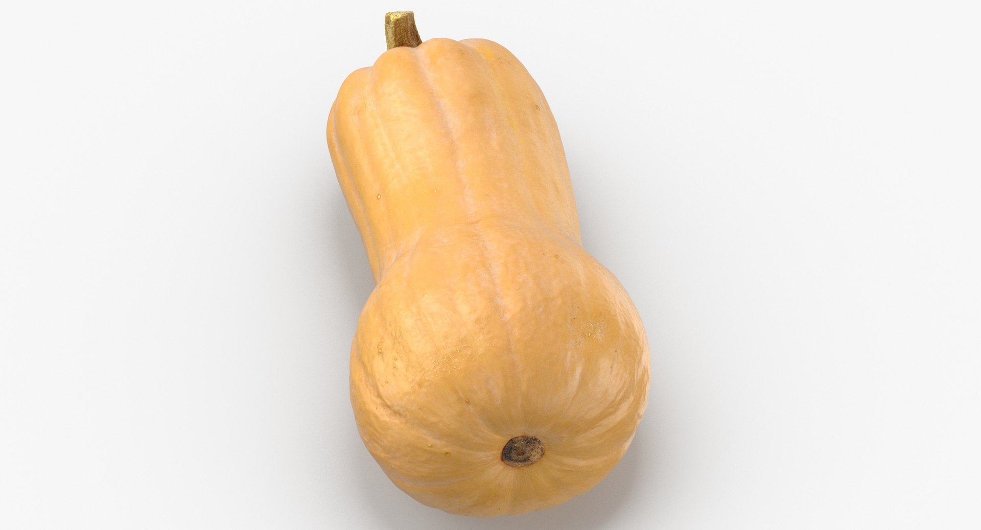 3D Pumpkin Butternut 02 - TurboSquid 1469084