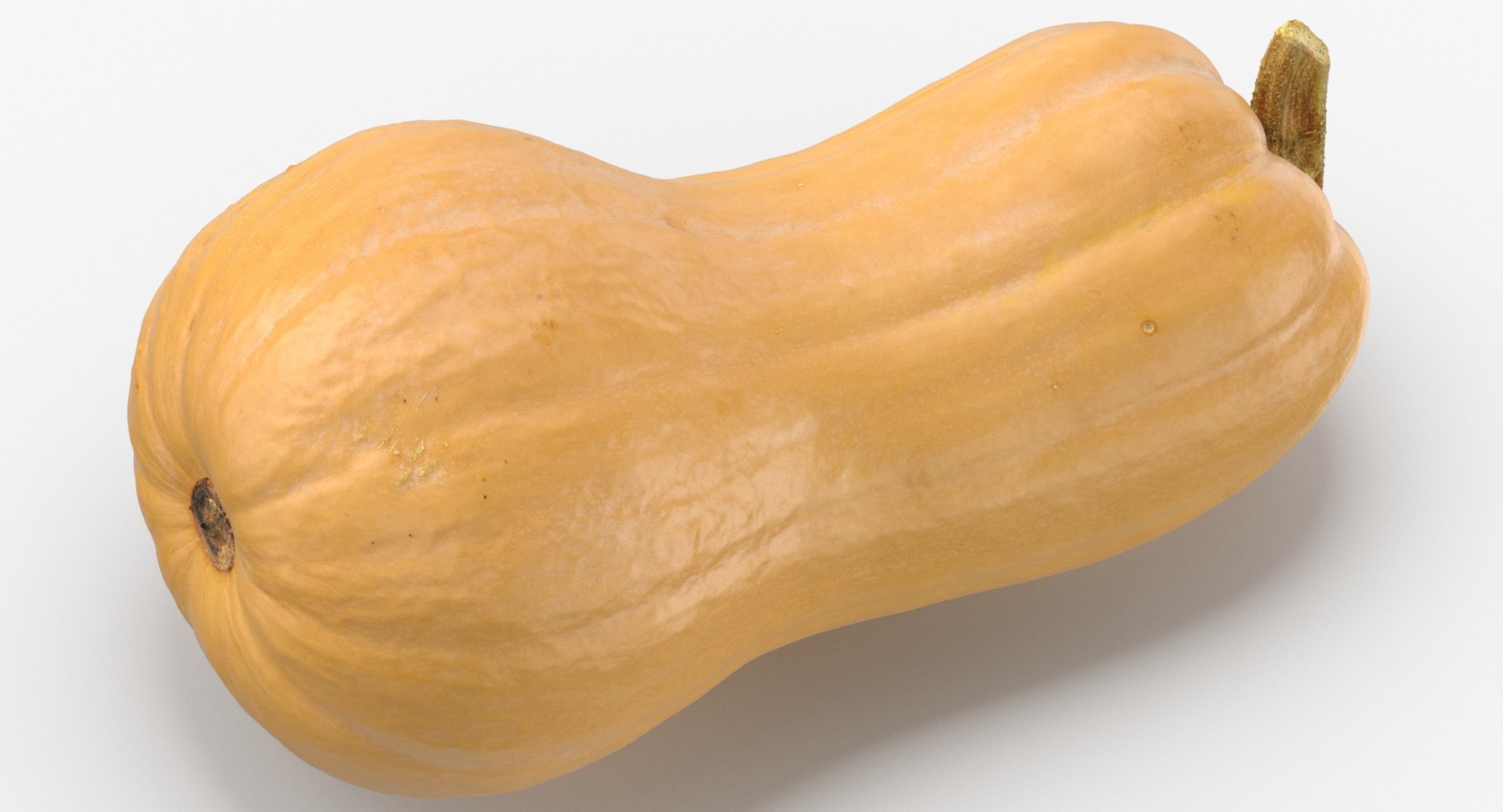 3D Pumpkin Butternut 02 - TurboSquid 1469084