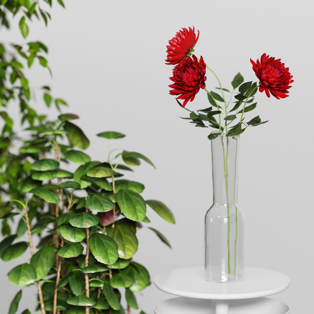 Ikea Plants Set 3D Model - TurboSquid 2251751