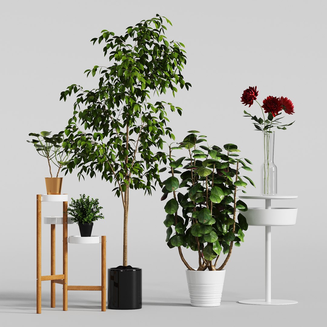 Ikea Plants Set 3D Model - TurboSquid 2251751