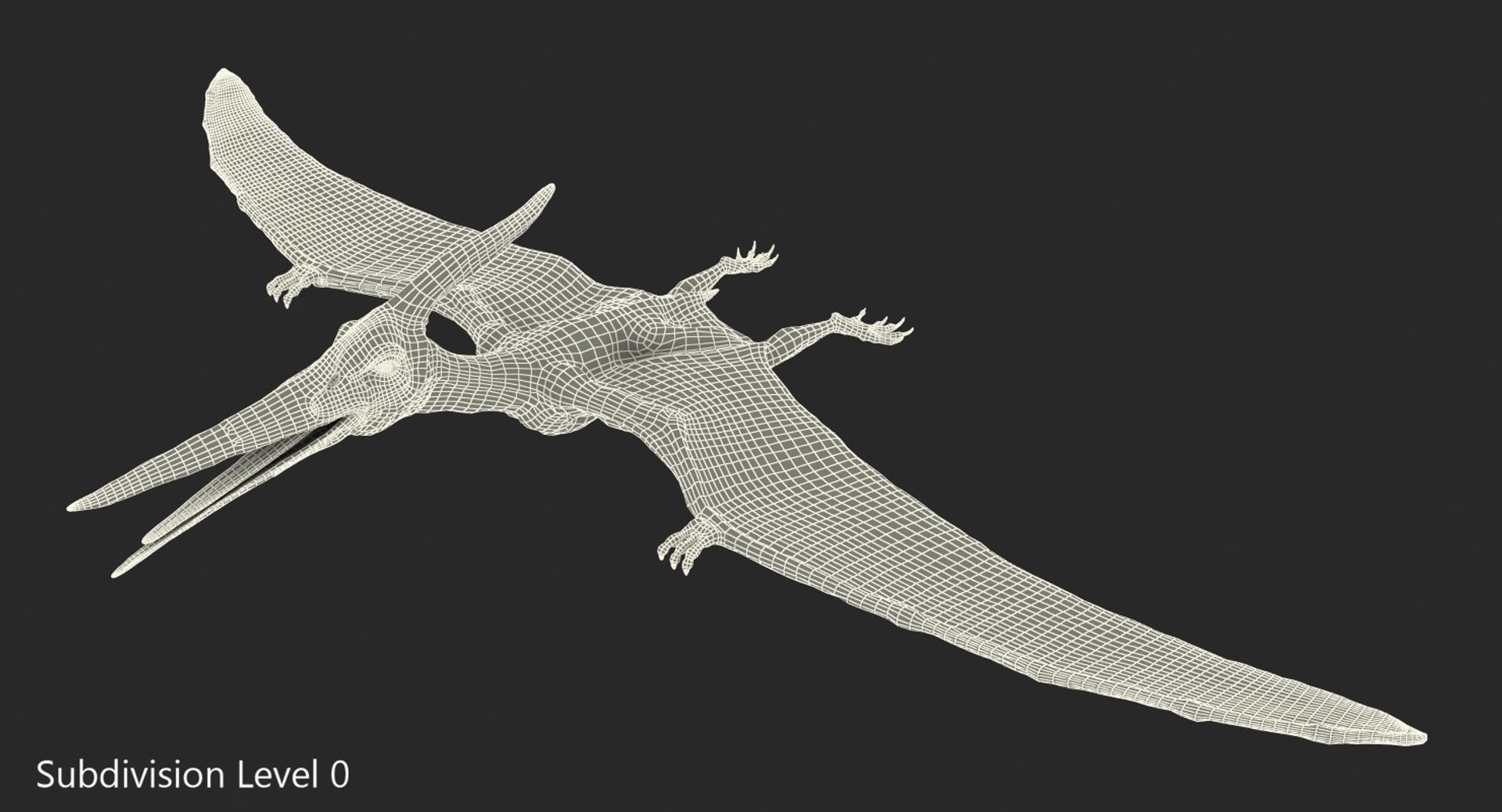 Pterosaur Pteranodon White 3D Model - TurboSquid 1382880