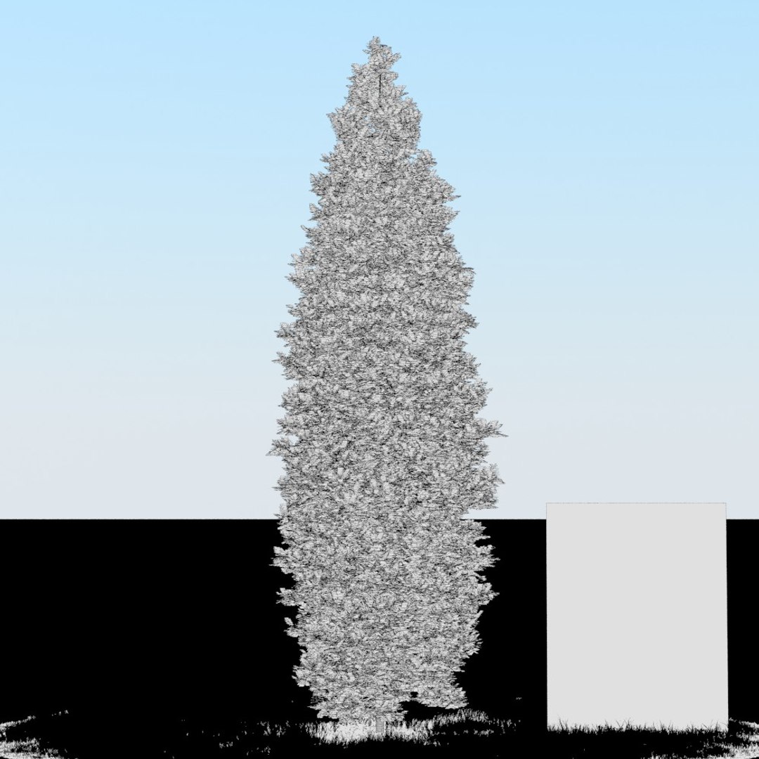Realistic Thuja Tree 3d Max