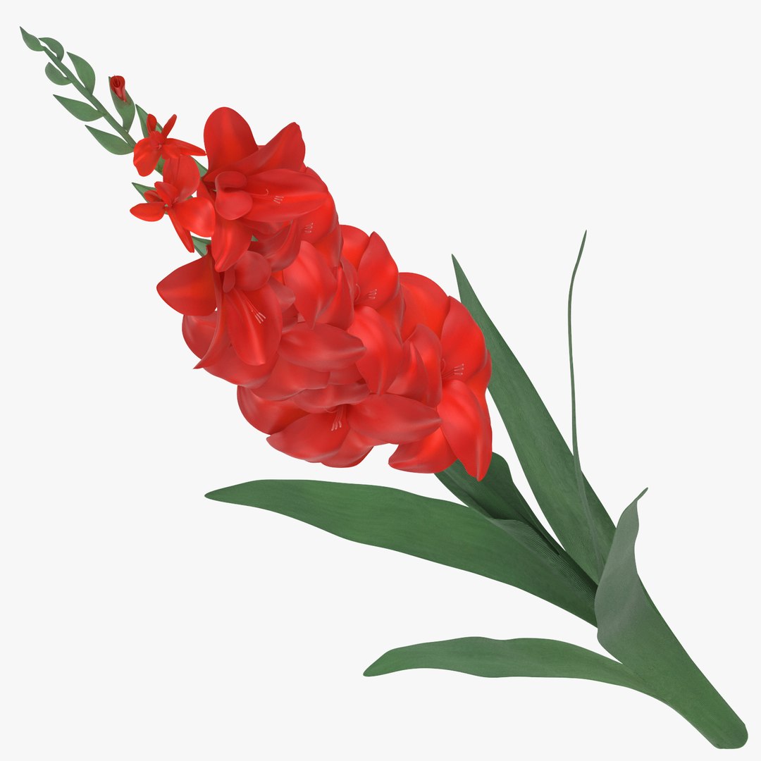 3D Model Red Flowers 01 - TurboSquid 1449941