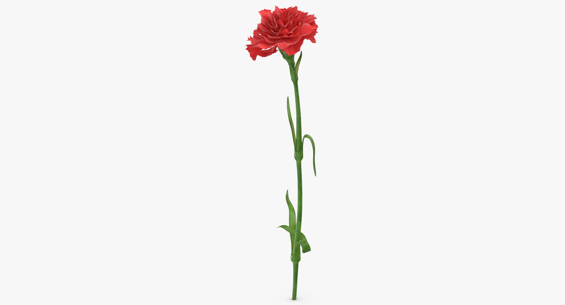 3D Model Red Flowers 01 - TurboSquid 1449941