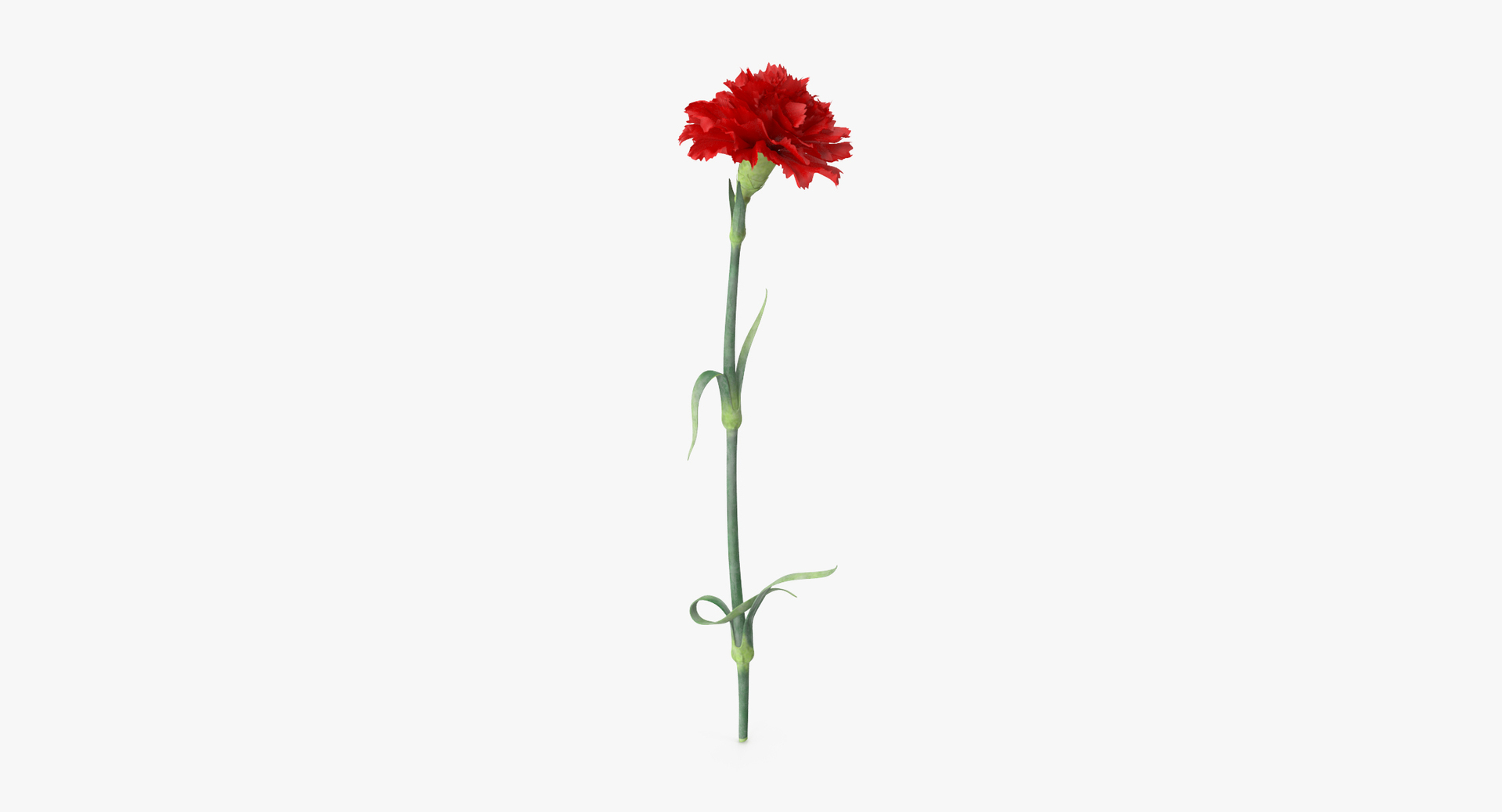 3D Model Red Flowers 01 - TurboSquid 1449941