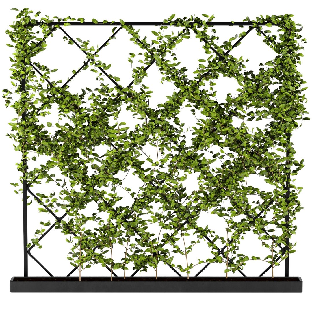 modelo 3d Modern Vine Green Planting Wall Model - TurboSquid 2056484