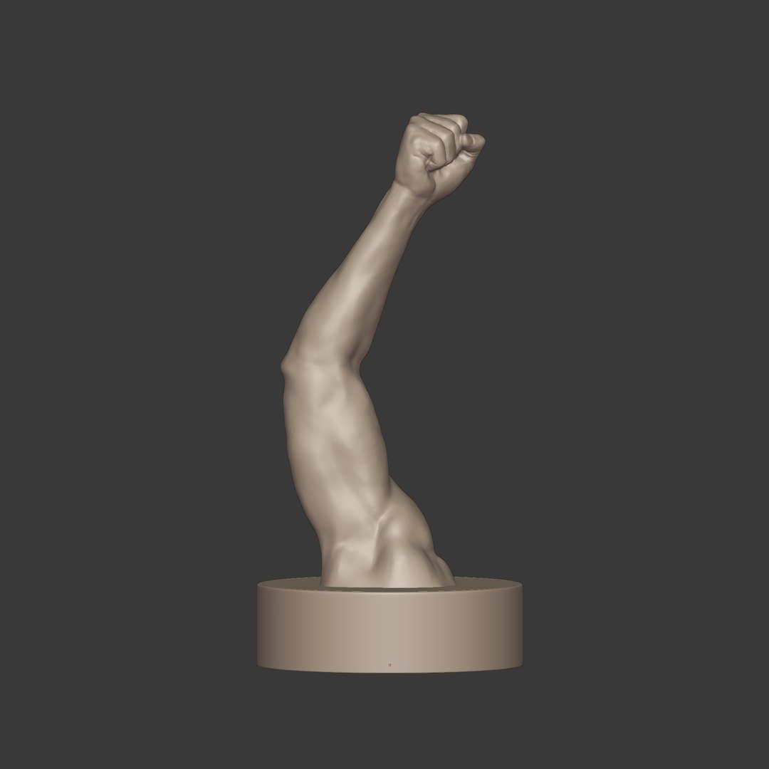 Arm Figurine -- Ready For 3D Printing 3D Model - TurboSquid 1809424