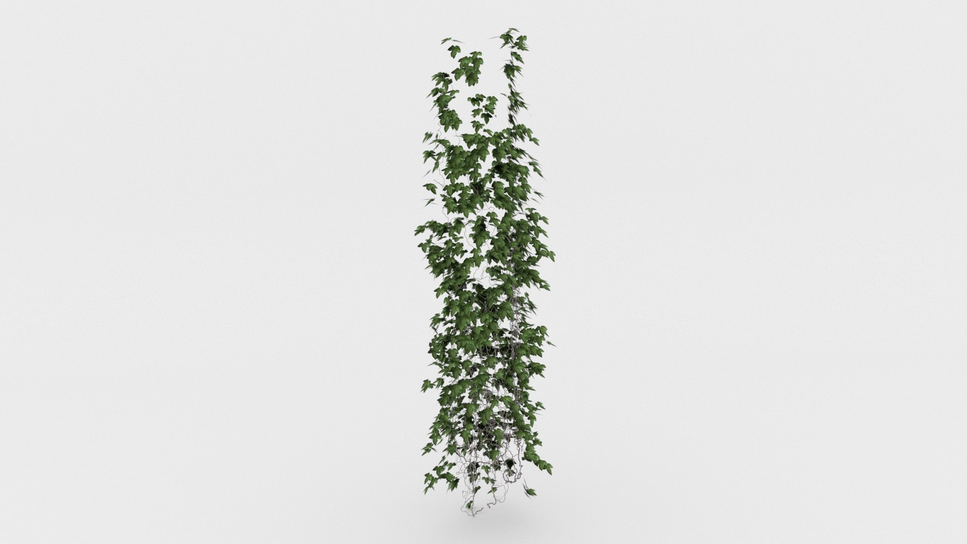 Ivy collection model - TurboSquid 1858307