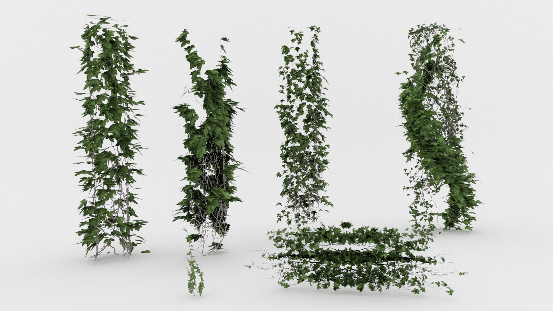 Ivy collection model - TurboSquid 1858307