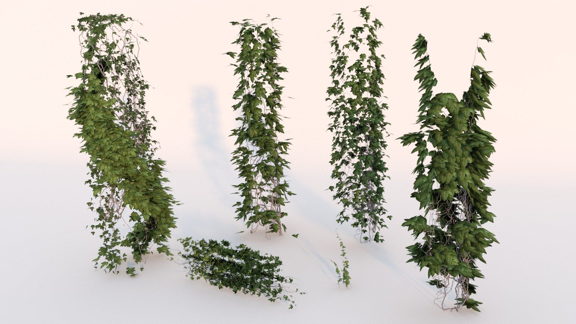Ivy collection model - TurboSquid 1858307