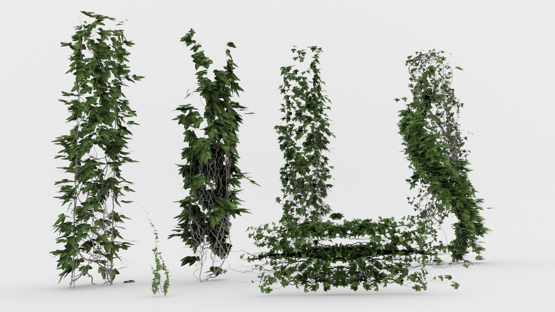 Ivy collection model - TurboSquid 1858307