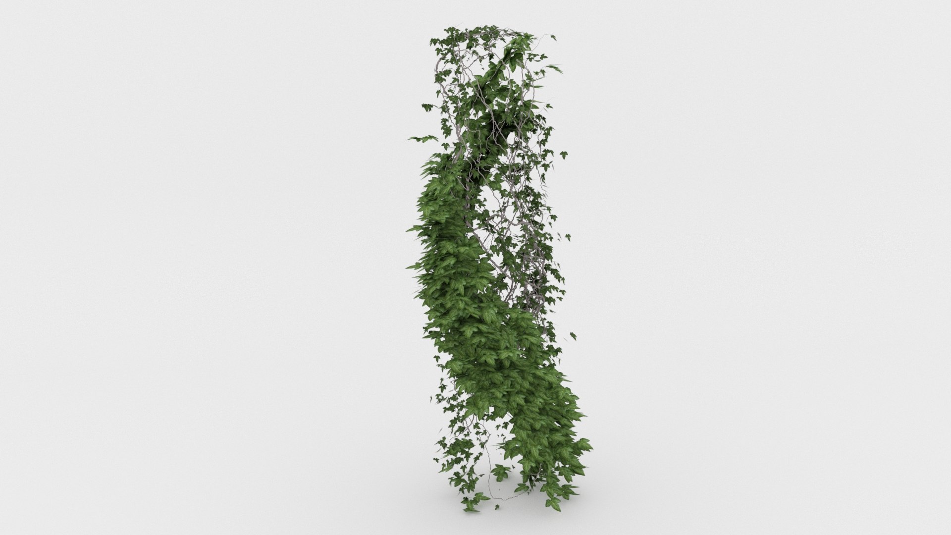 Ivy collection model - TurboSquid 1858307