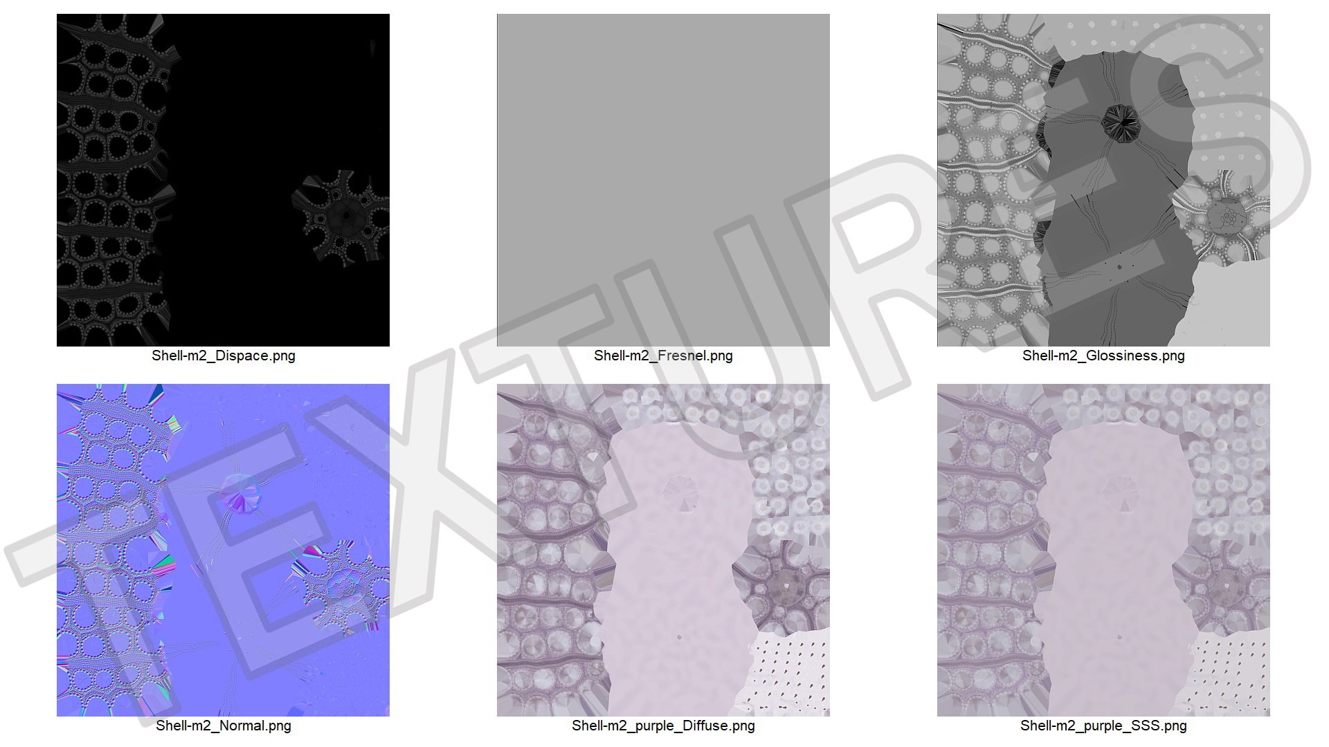 3D Purple Sputnik Sea Urchin Shell - TurboSquid 2116295