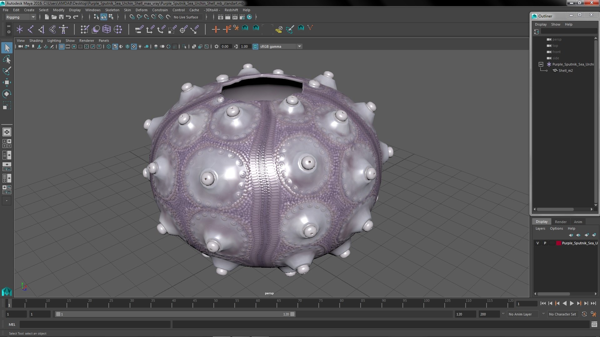 3D Purple Sputnik Sea Urchin Shell - TurboSquid 2116295