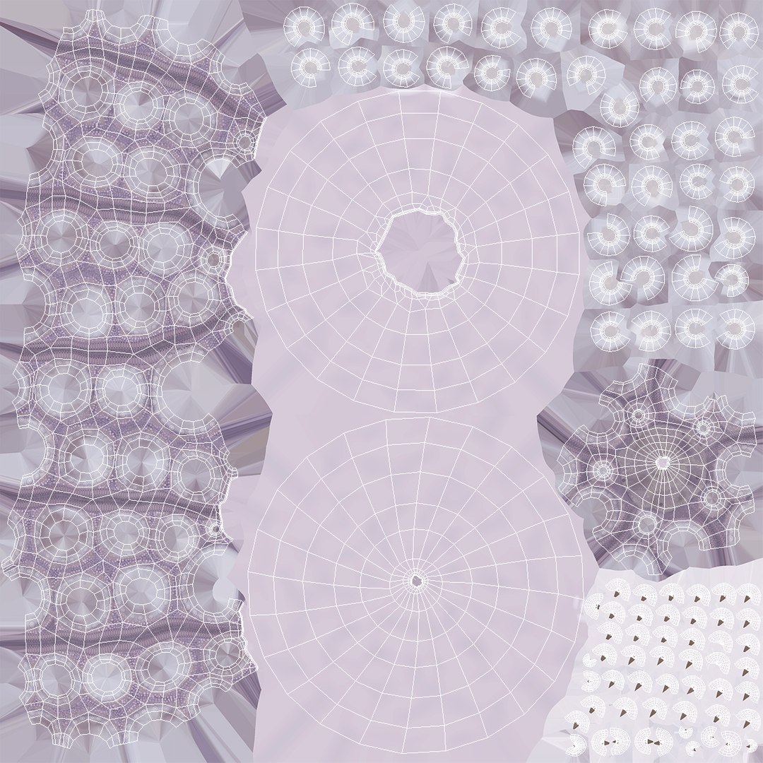 3D Purple Sputnik Sea Urchin Shell - TurboSquid 2116295