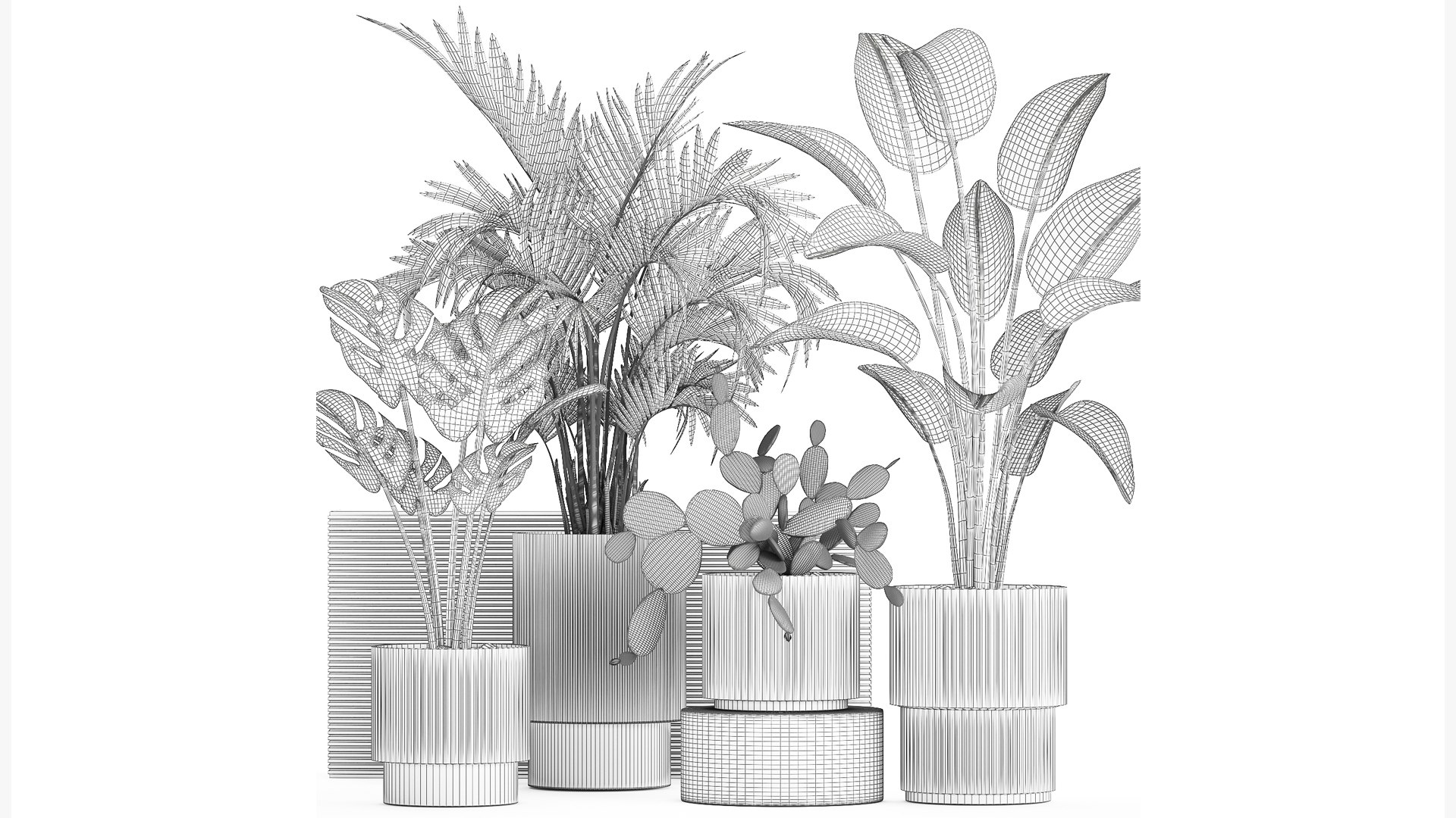 Plants white modern pot Monstera strelitzia cactus 3D model ...