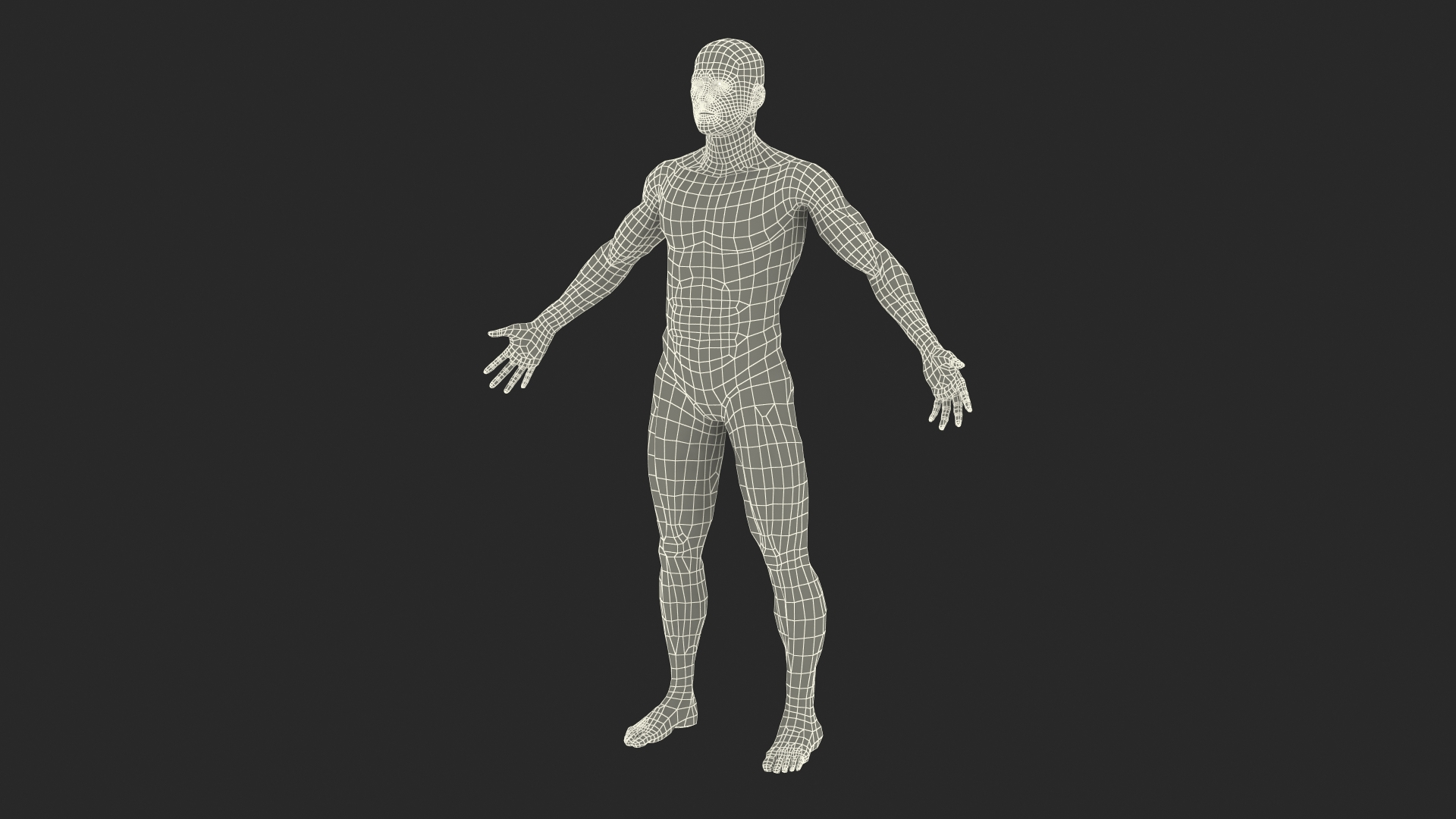 Male Muscular System Anatomy Rigged 3D Model - TurboSquid 2384460
