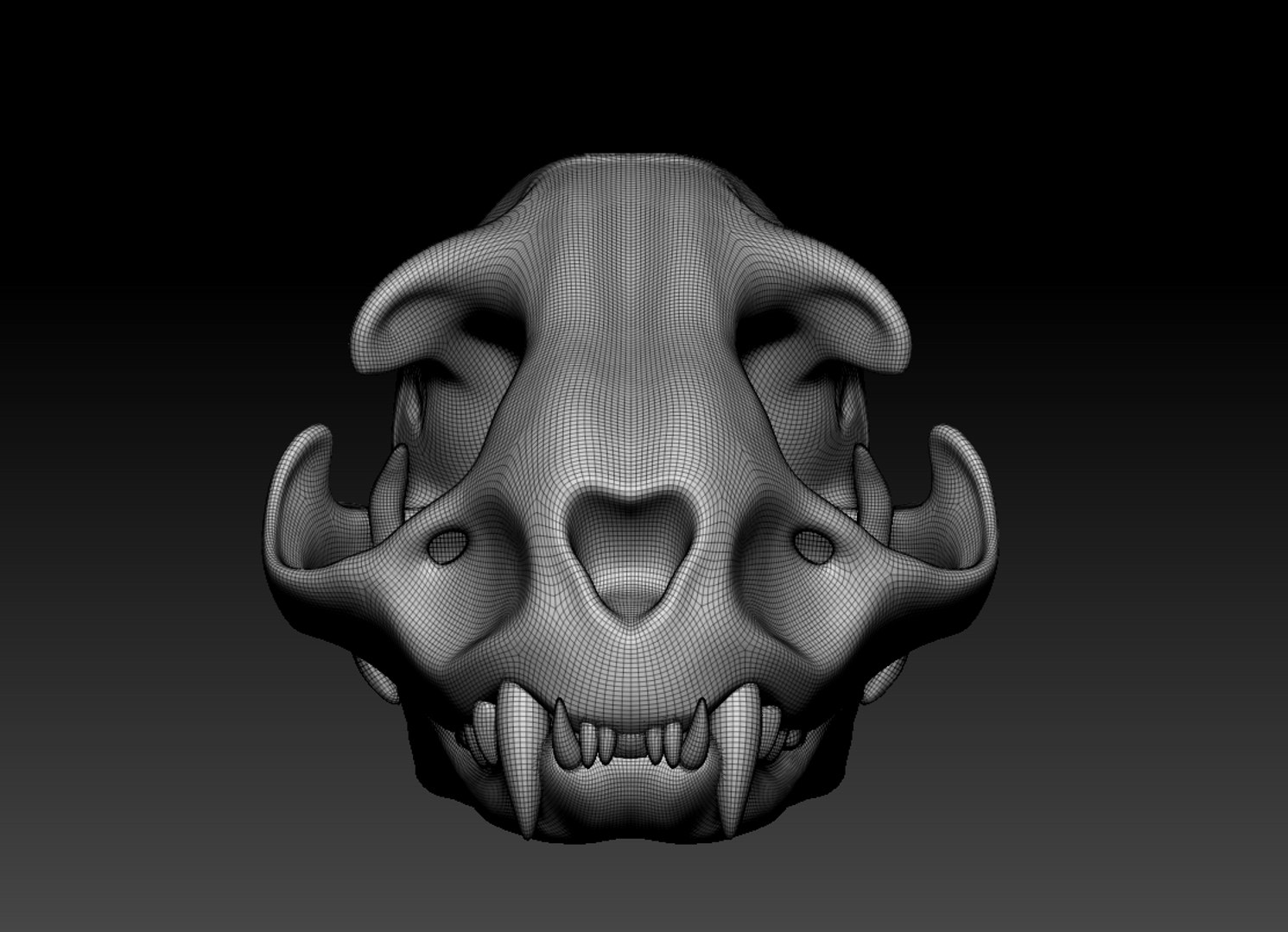 3D Model Cat Skull - TurboSquid 1338096