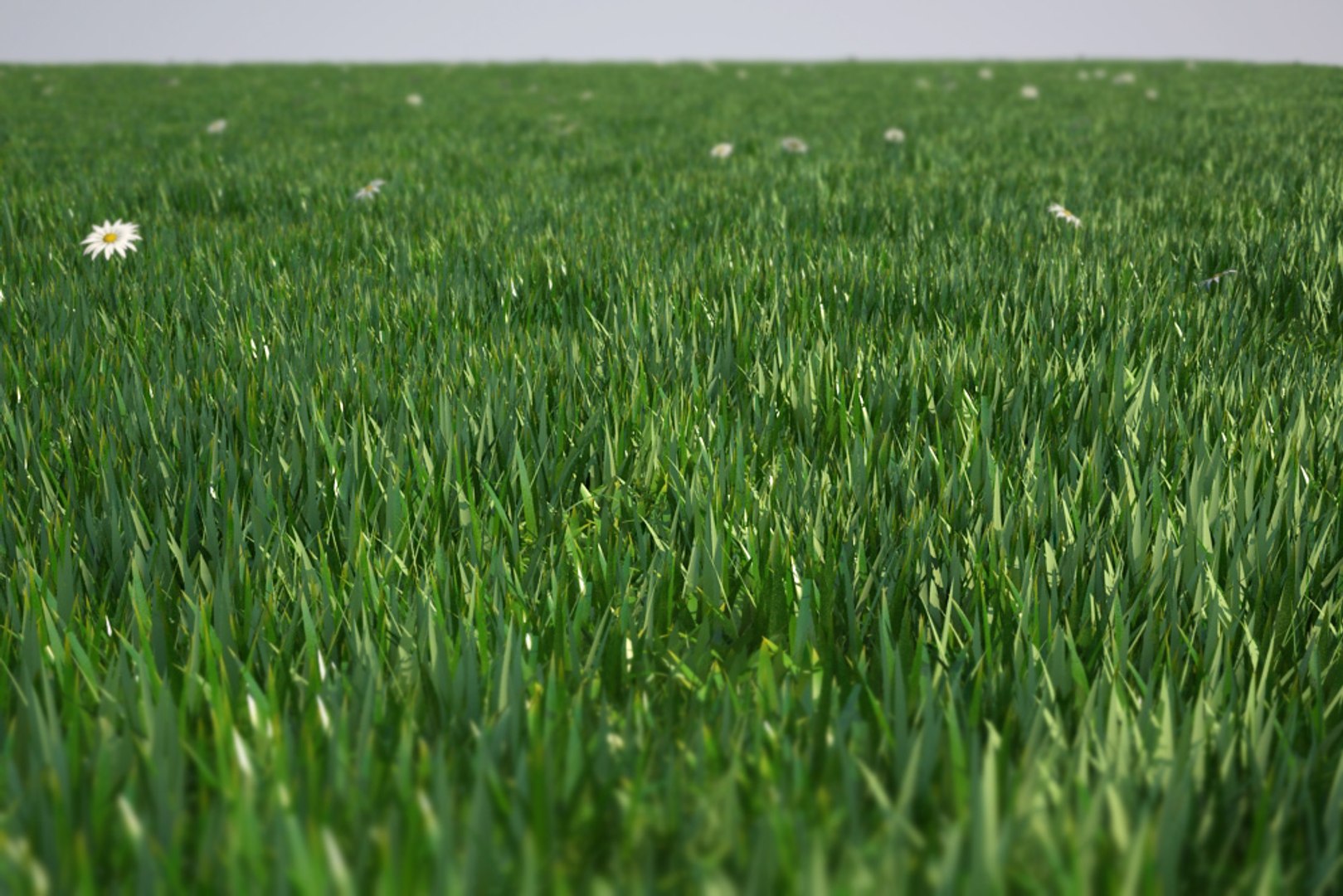 Grass Scatter 3d Max