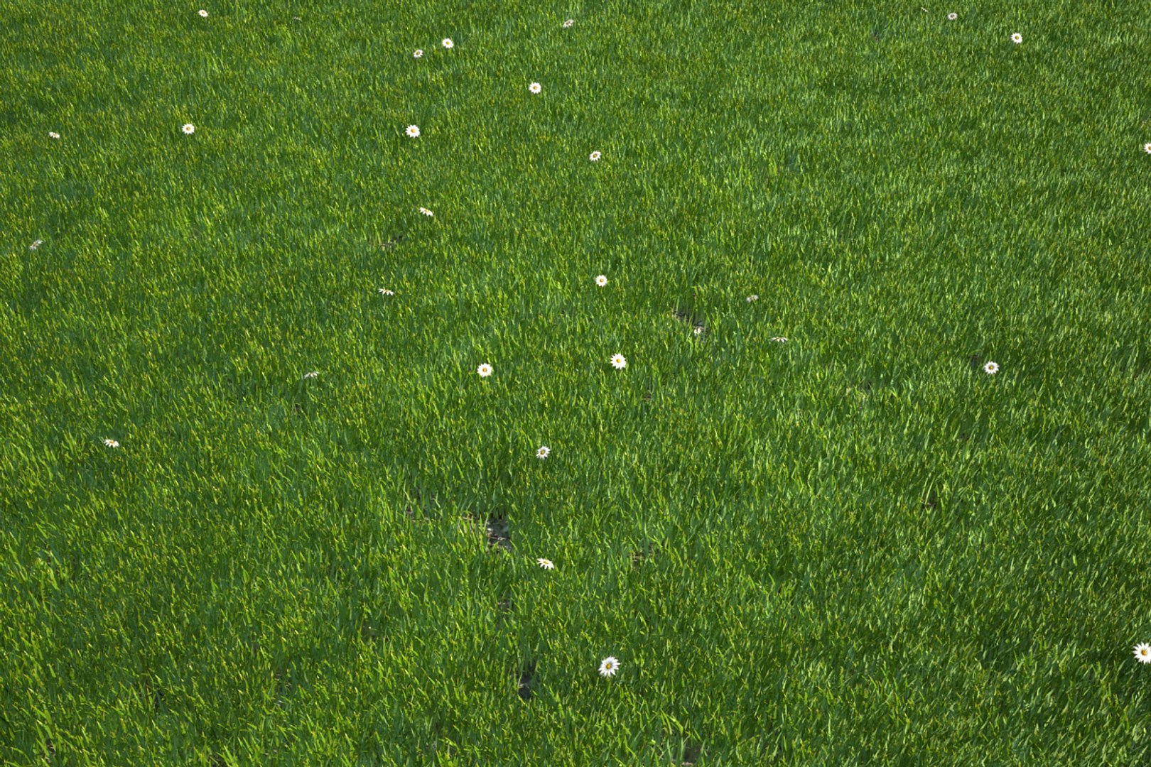 Grass Scatter 3d Max