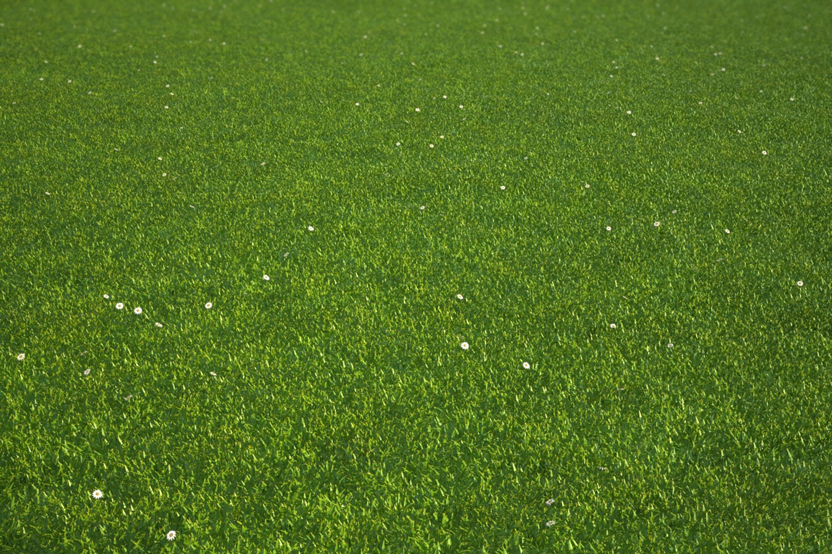 Grass Scatter 3d Max