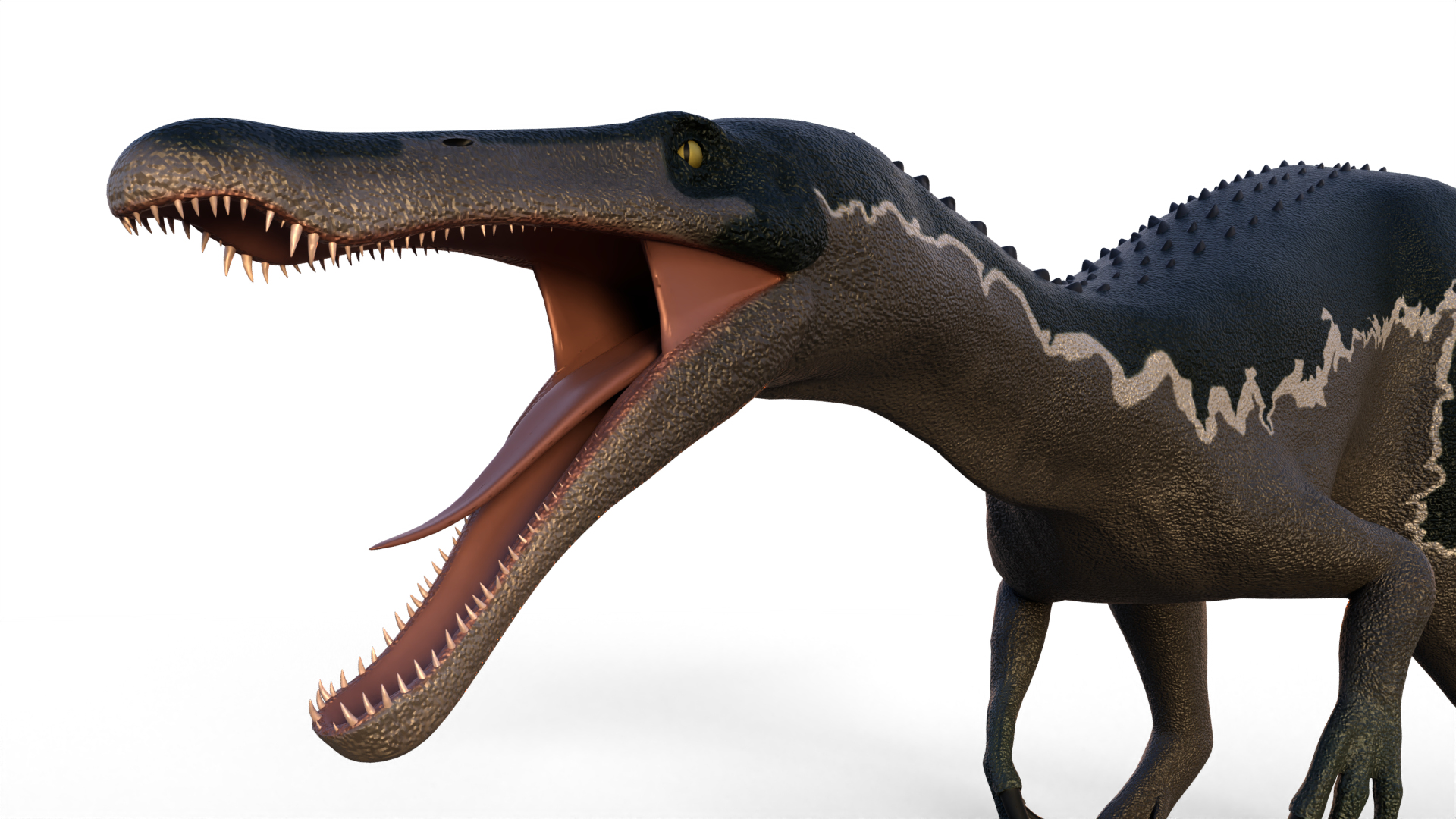 3D baryonyx walkeri model - TurboSquid 1575026