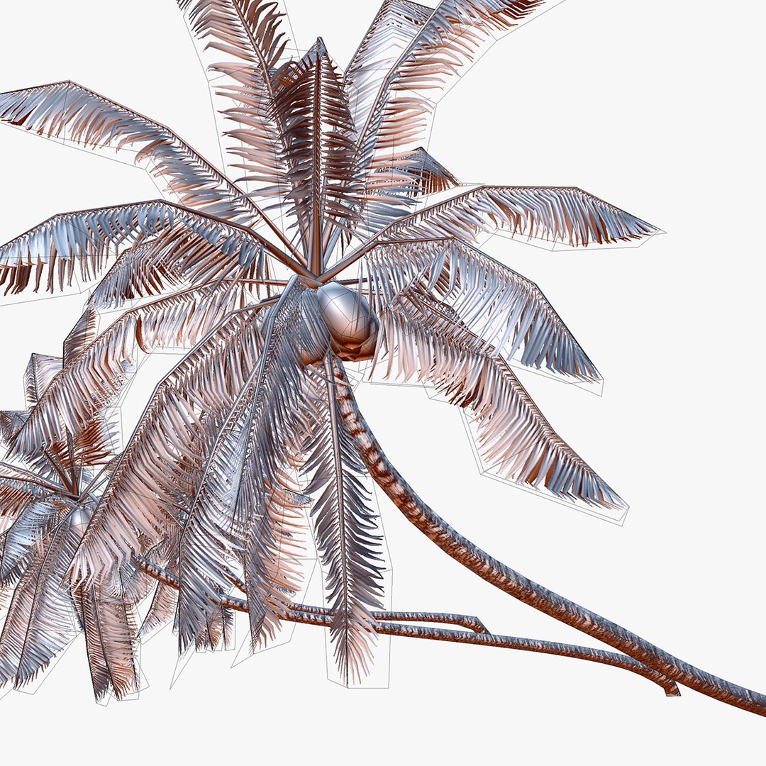 Obj Coconut Palm Trees