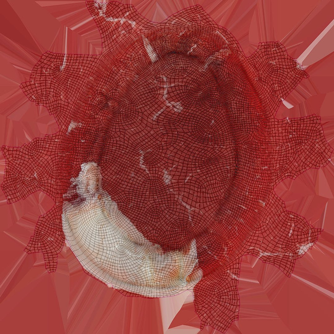 3D Beef Eye Round 04 - TurboSquid 2296861