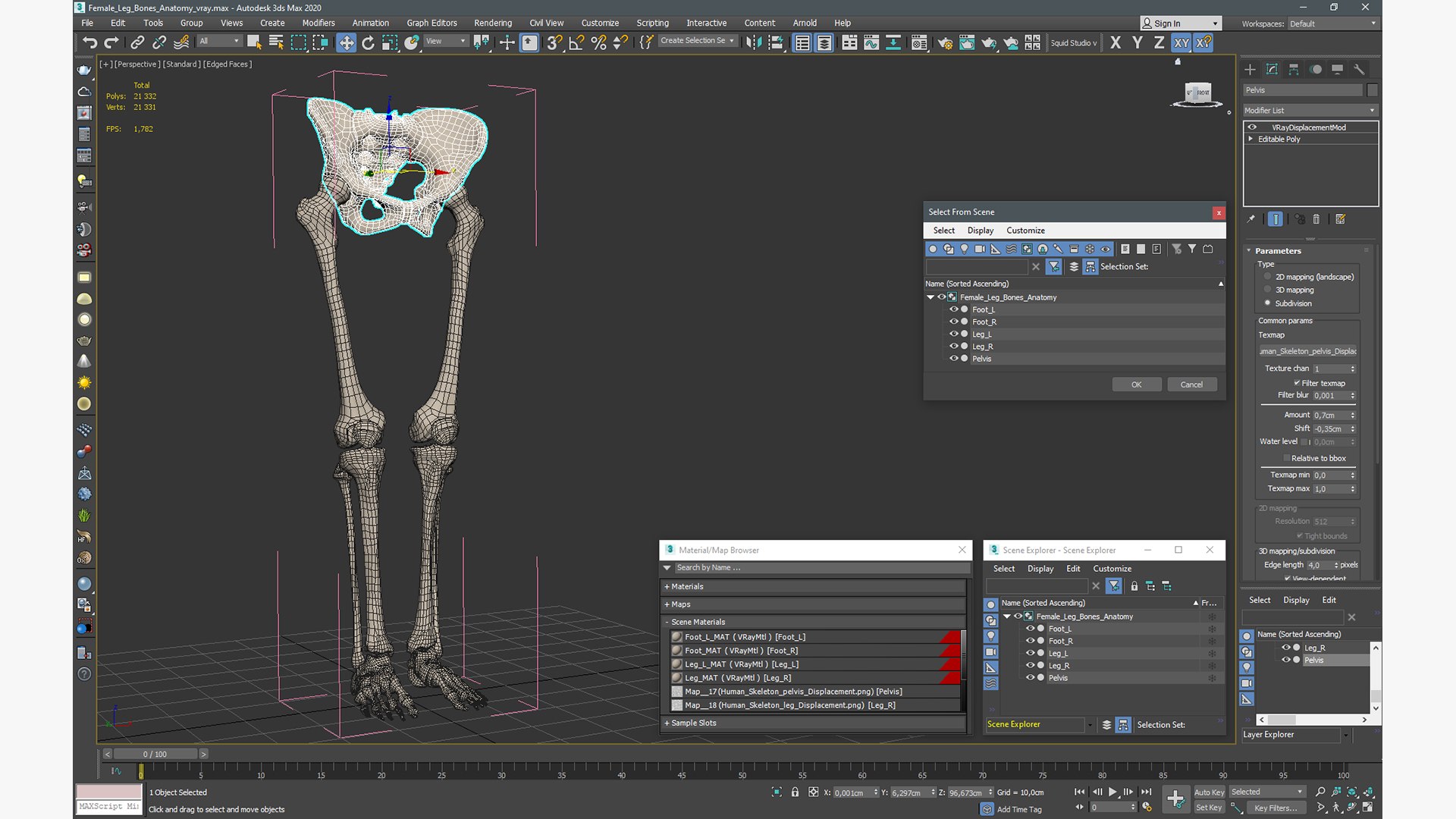 Female Leg Bones Anatomy 3D Model - TurboSquid 2386214