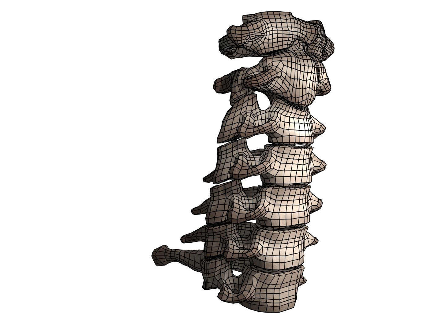 Cervical Spine 3D Model - TurboSquid 1786533