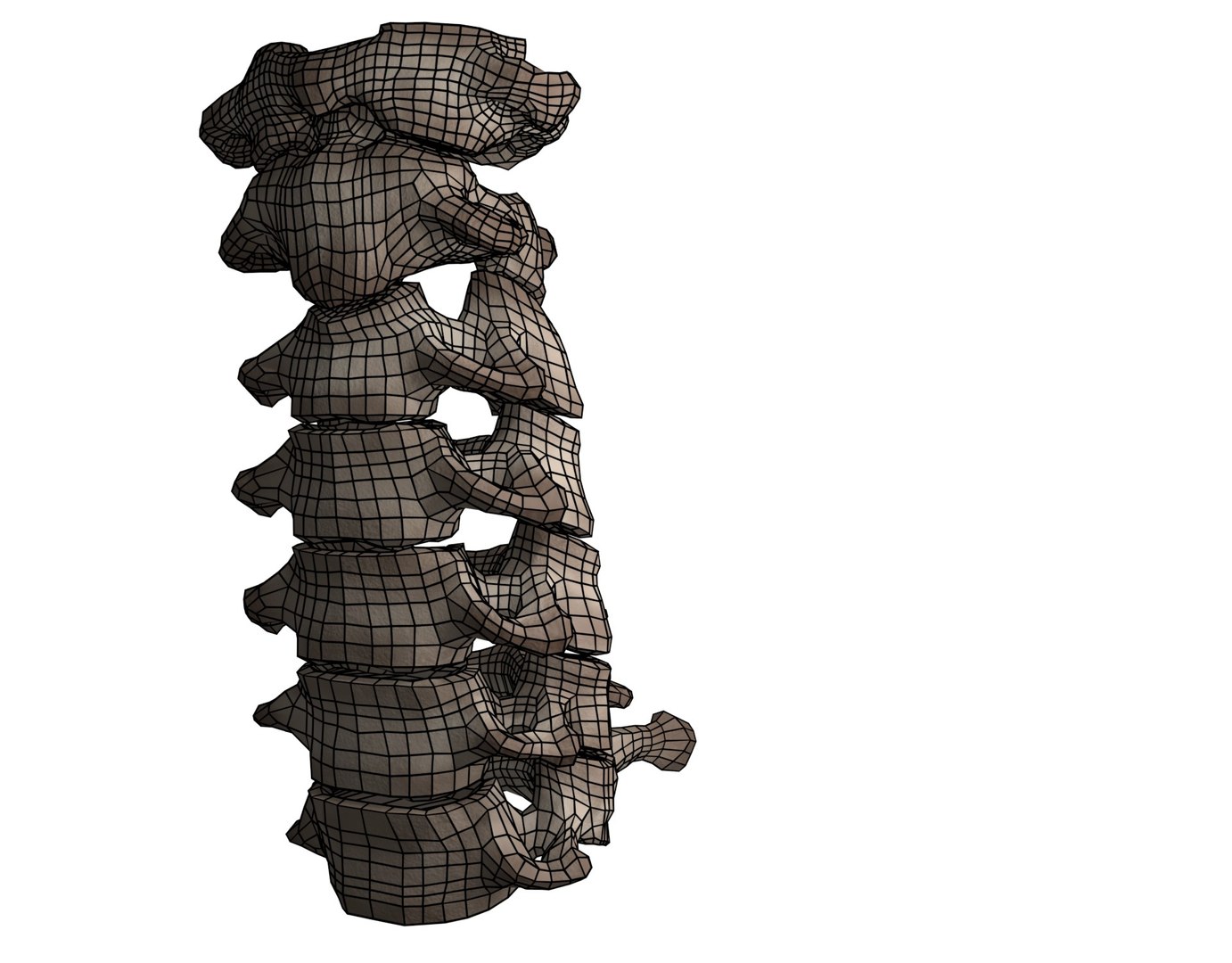 Cervical Spine 3D Model - TurboSquid 1786533