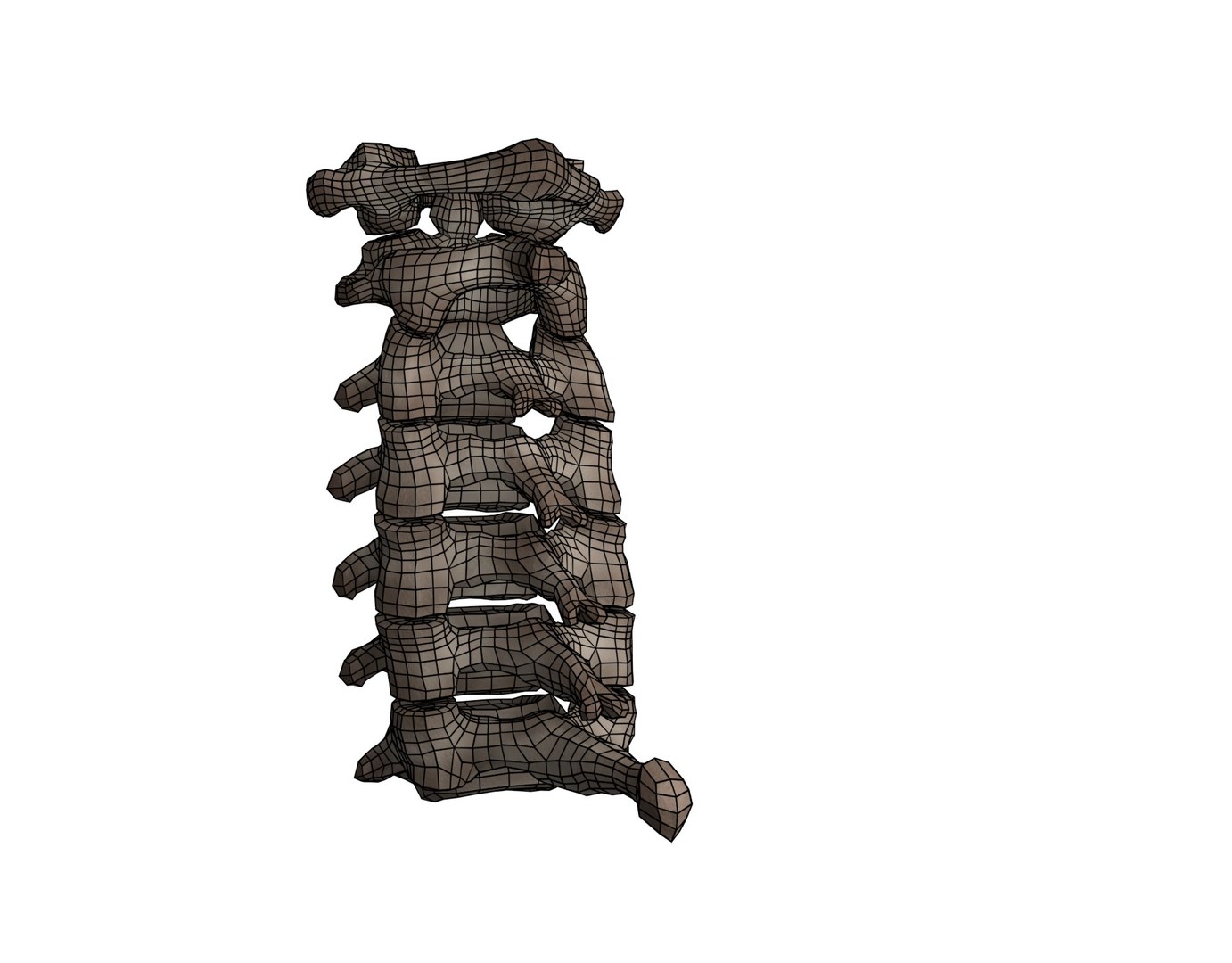 Cervical Spine 3D Model - TurboSquid 1786533
