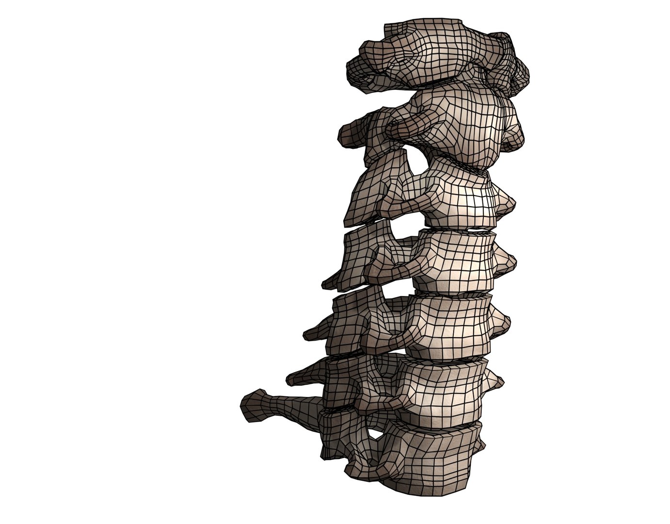 Cervical Spine 3D Model - TurboSquid 1786533