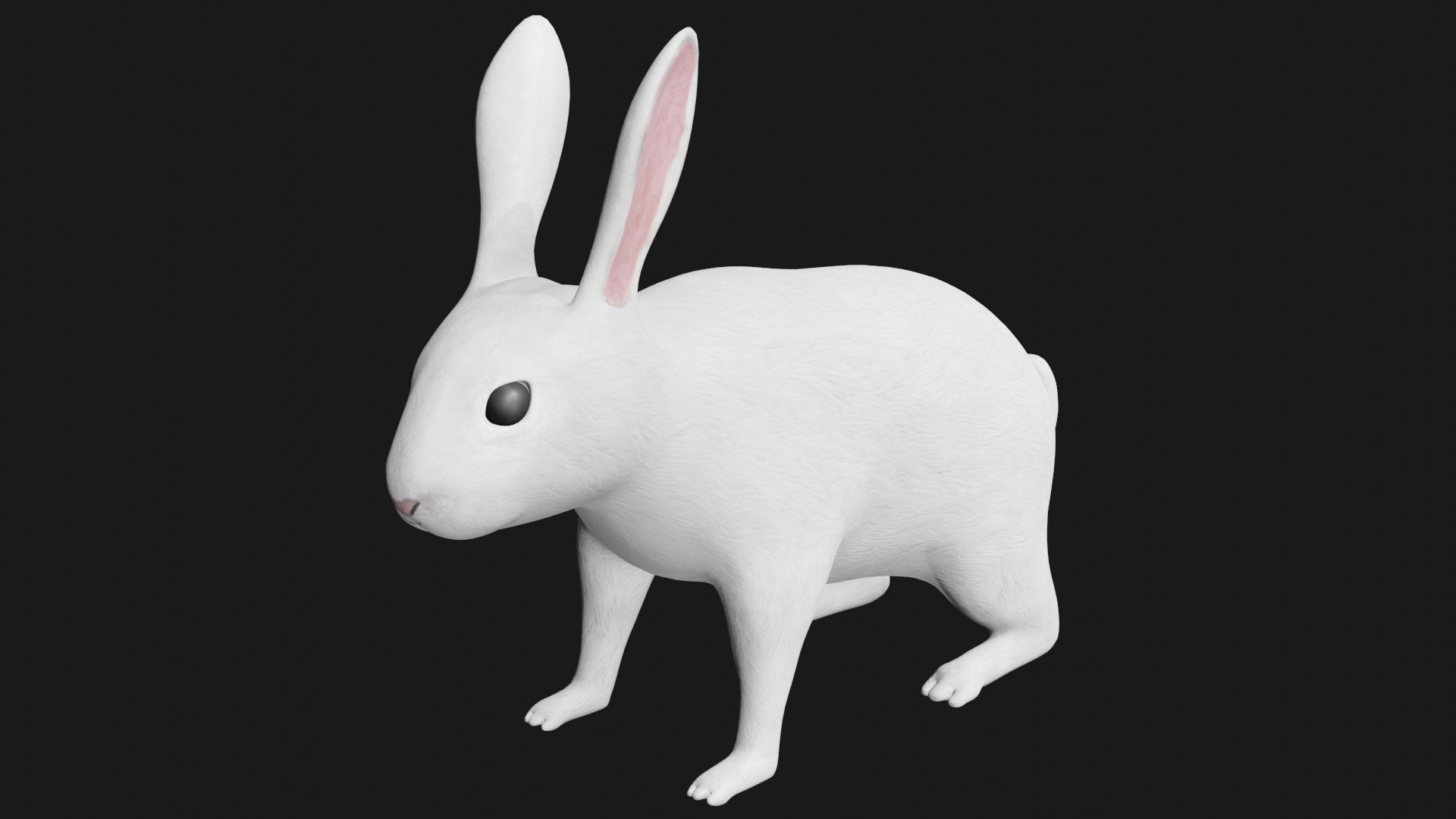 3D Realistic Rigged White - TurboSquid 1669520
