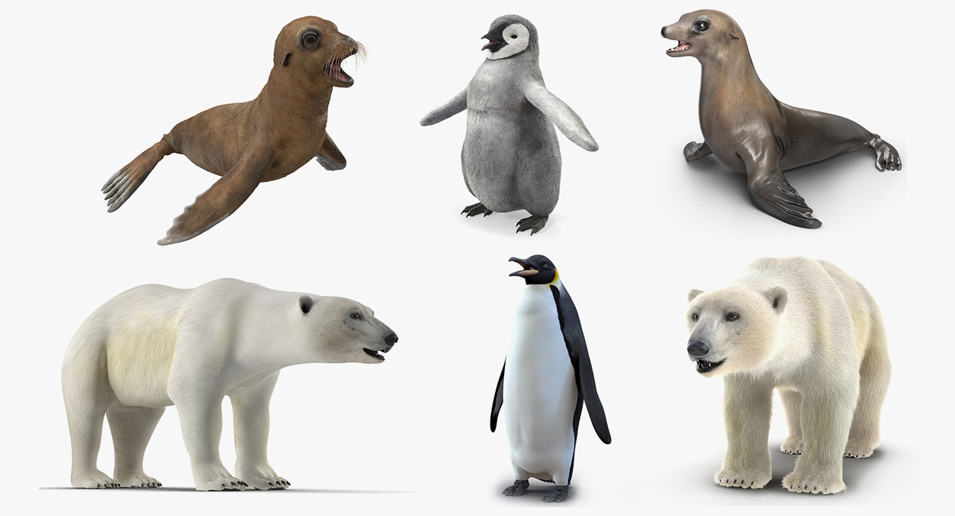 3D Arctic Animals - TurboSquid 1437027