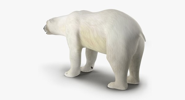 3D arctic animals - TurboSquid 1437027